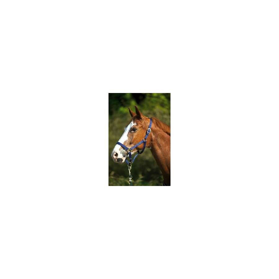 LICOLE NYLON CHEVAL